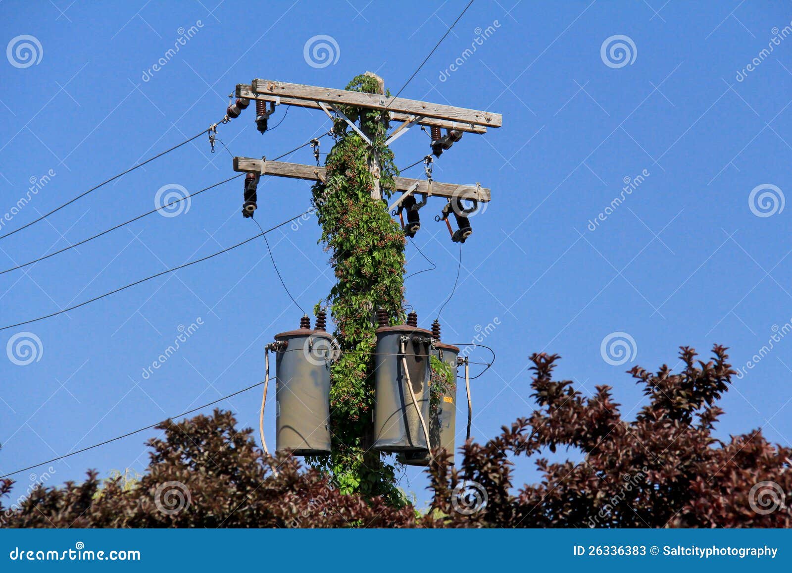 Power Pole stock image. Image of communication, electrical - 26336383