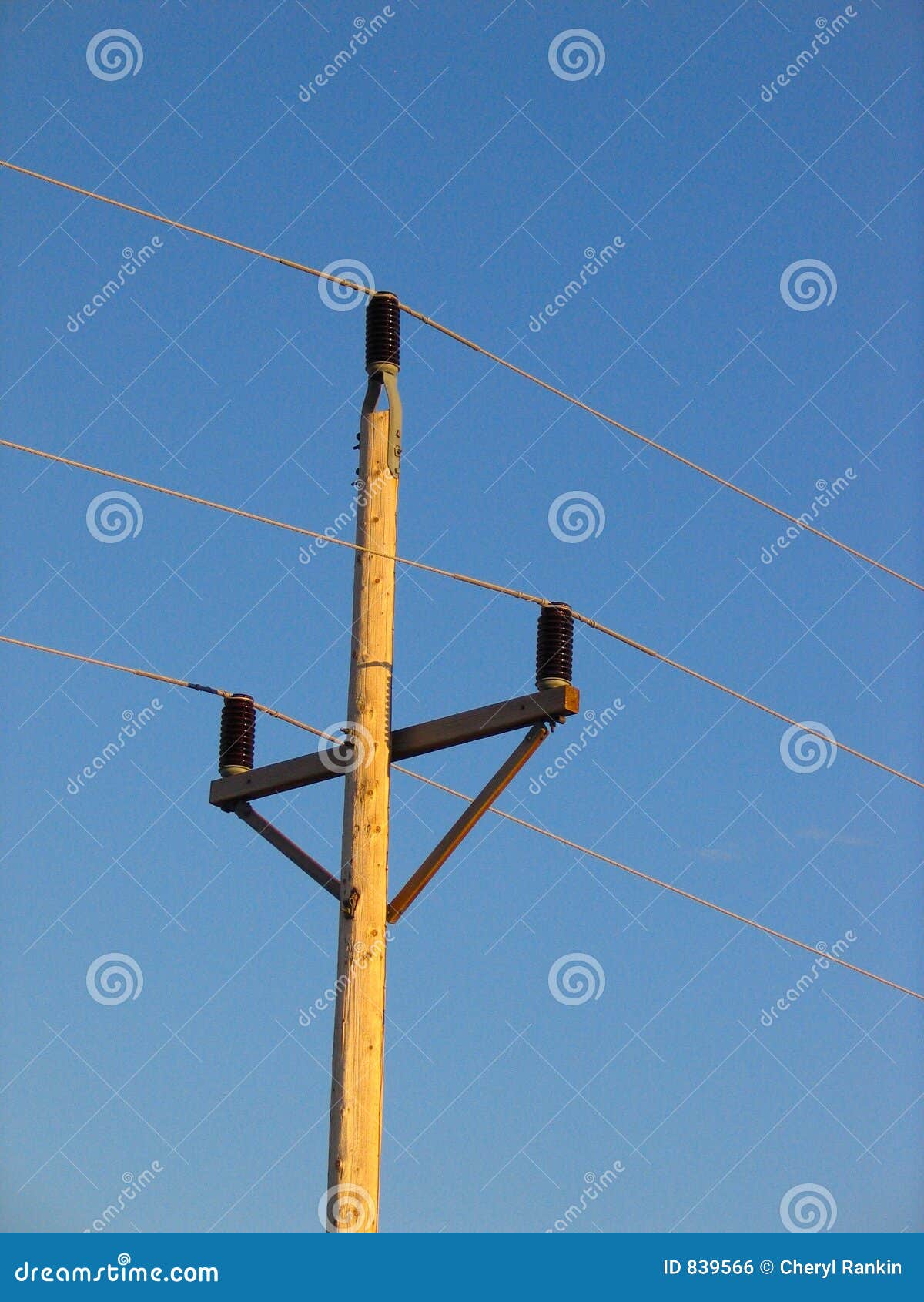 Power Pole stock photo. Image of watts, wires, convey, energy - 839566