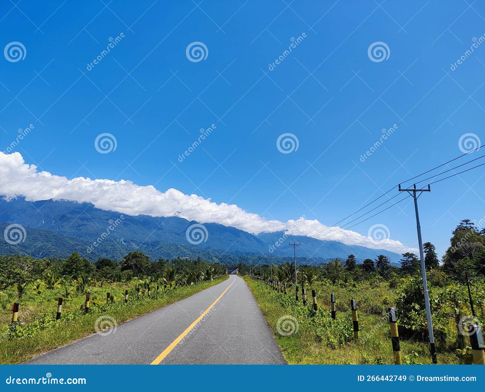 Power Pole, Horizontal Cloud, and Nature Stock Image - Image of ...