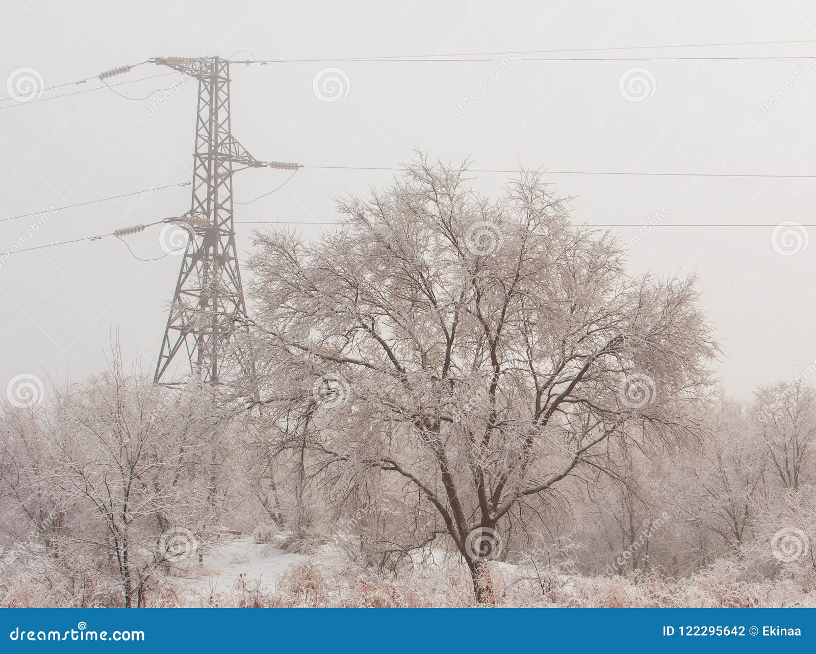 Power lines stock photo. Image of current, energy, evening - 122295642
