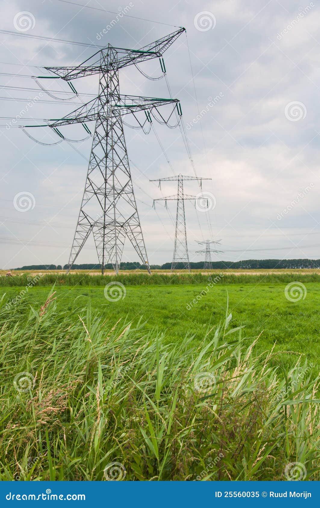 Power Pylons in a Rural Dutch Area Stock Image - Image of grass ...