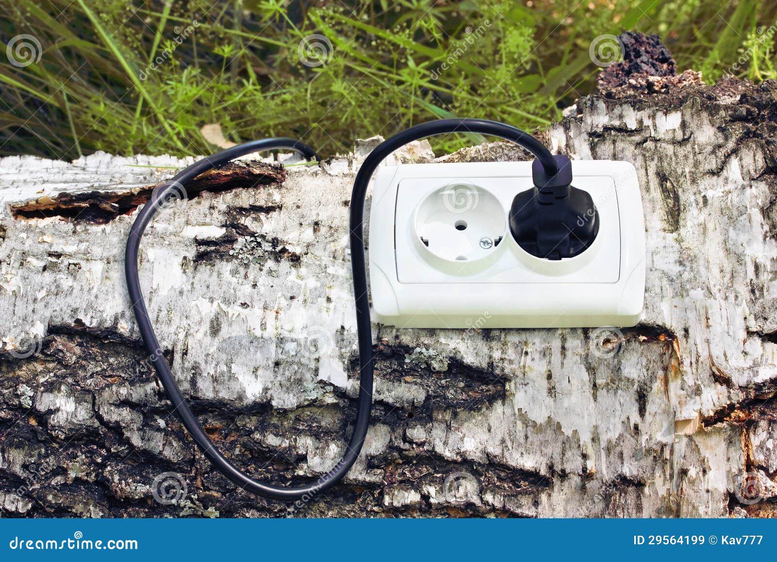 Power Receptacle and Switchplug on a Tree Stock Image - Image of ...