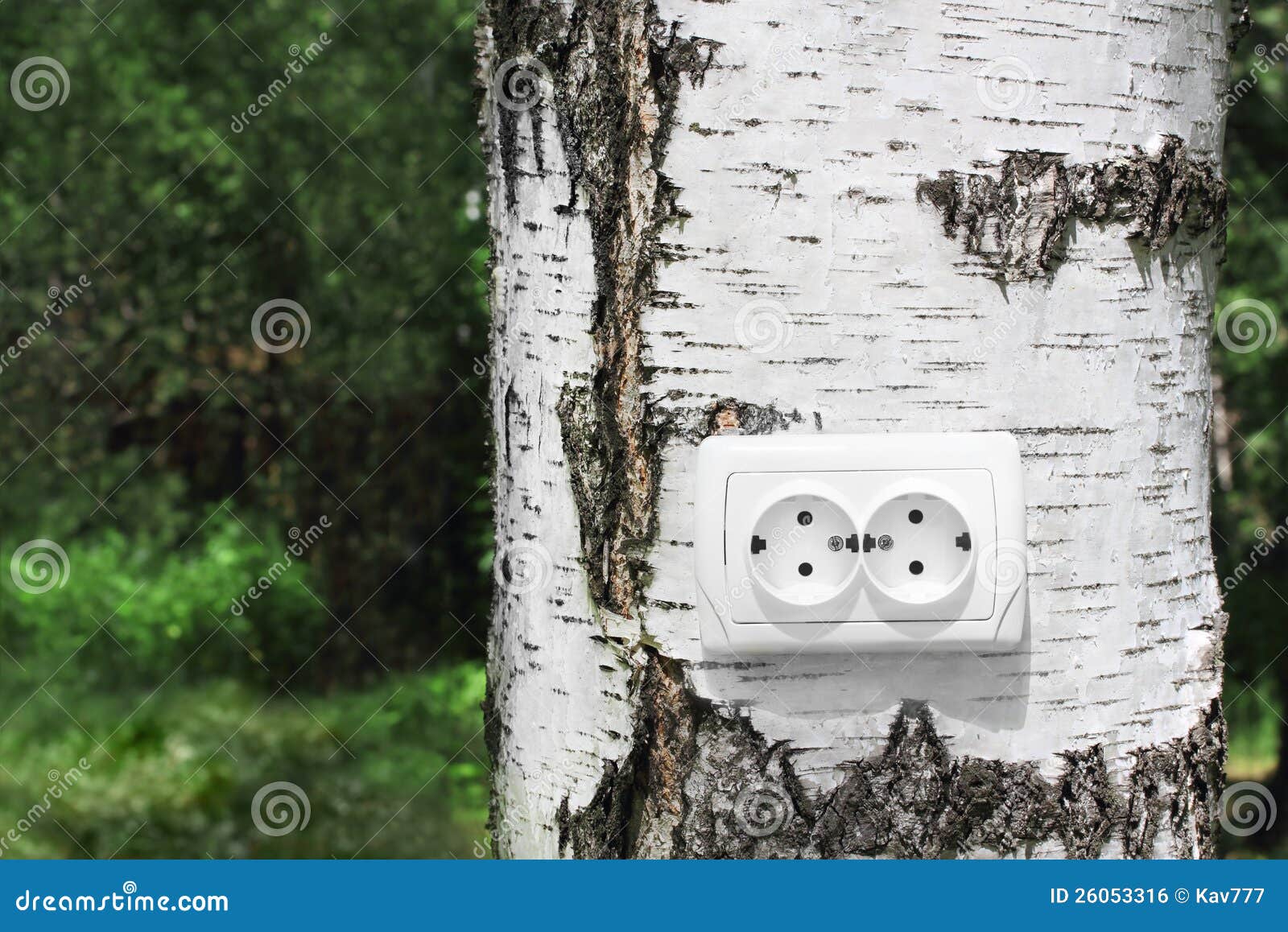 Power receptacle on a tree stock photo. Image of concept - 26053316