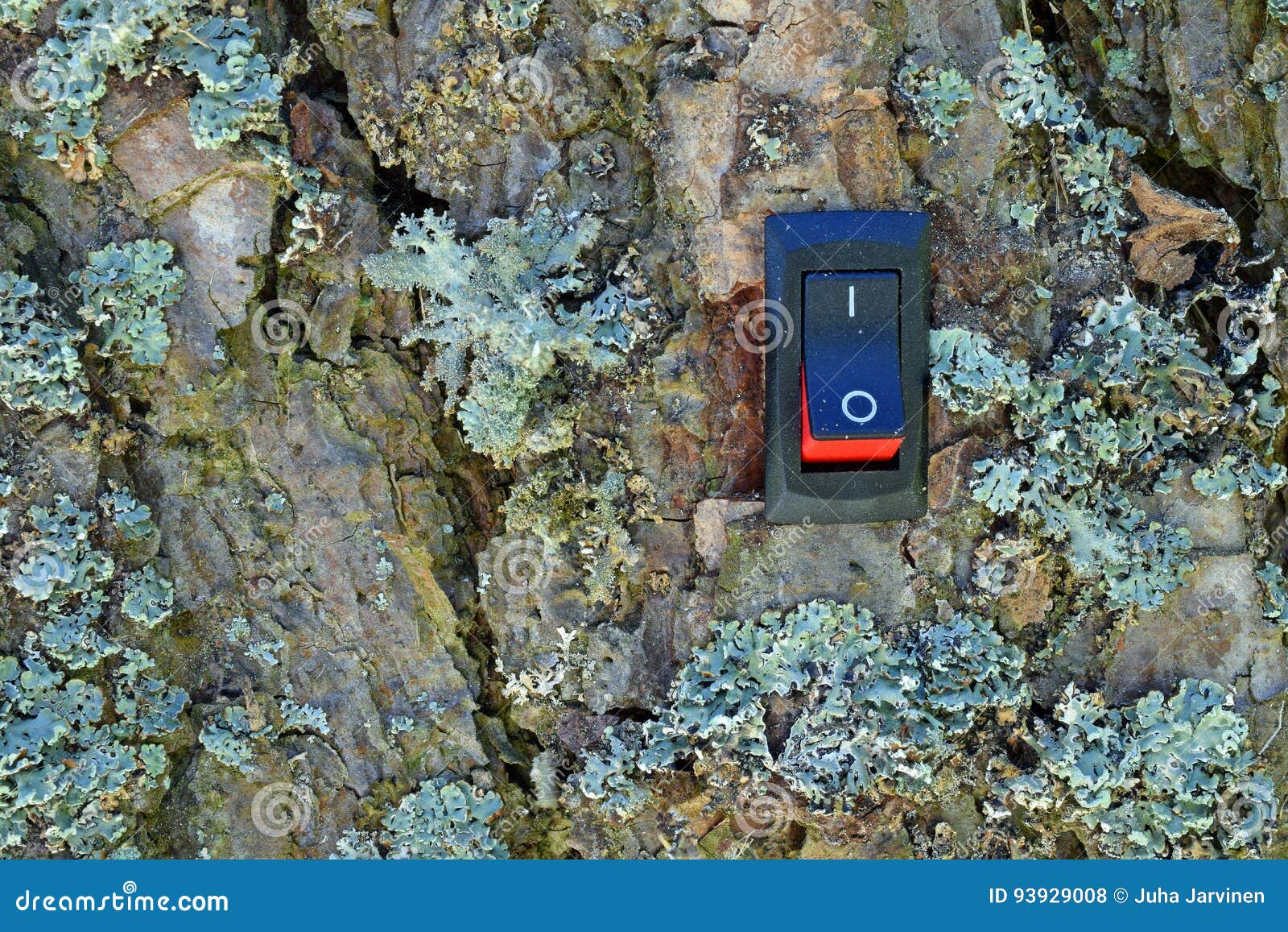 Power Switch Installed on Pine Tree. Stock Photo - Image of electric ...