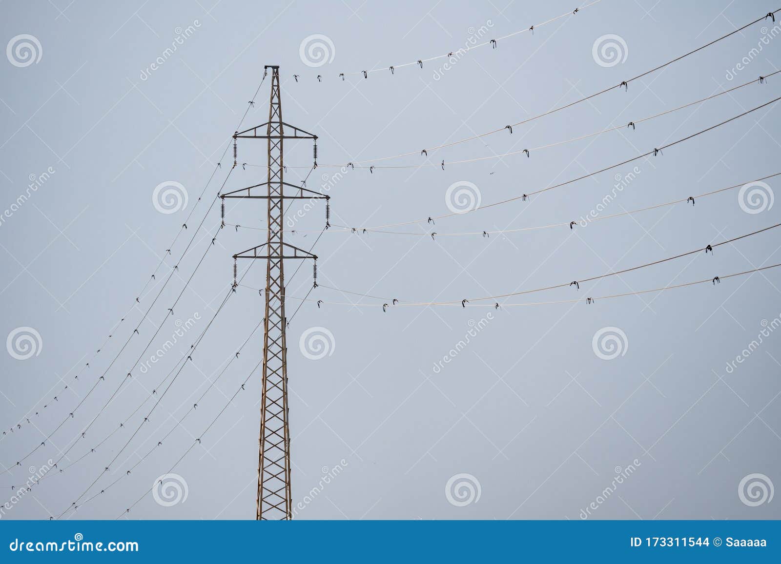Power Tower with Signals for Bird Protection Stock Photo - Image of ...