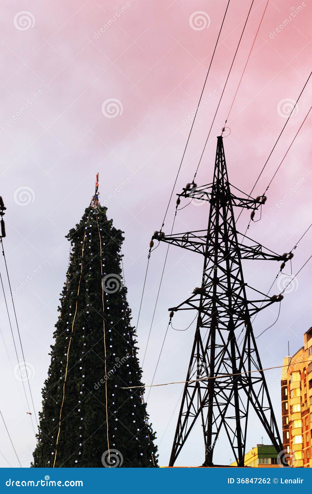 Power Transmission Line and Christmas Tree Stock Photo - Image of cable ...