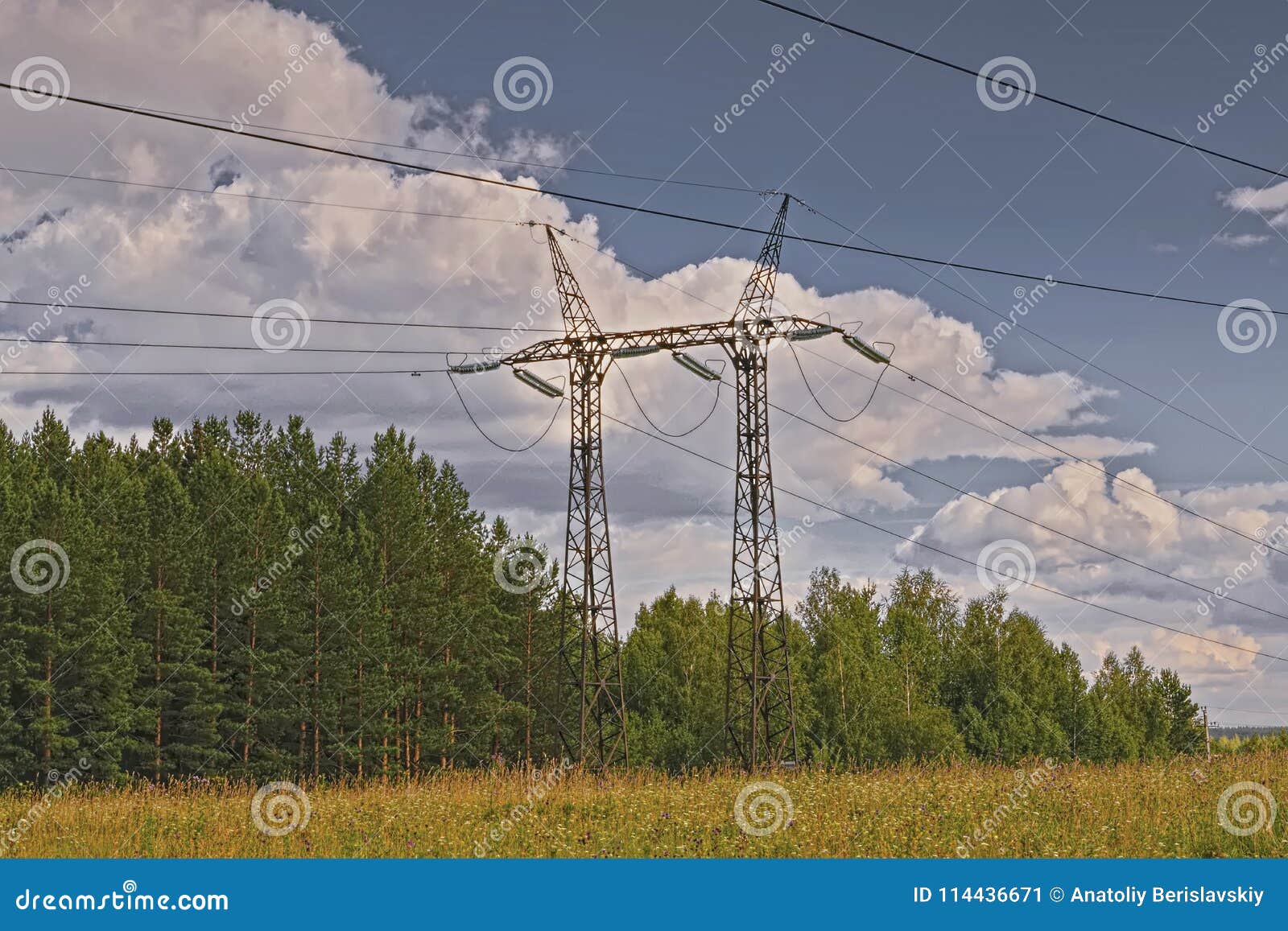 Power Transmission Line through the Forest Stock Image - Image of ...