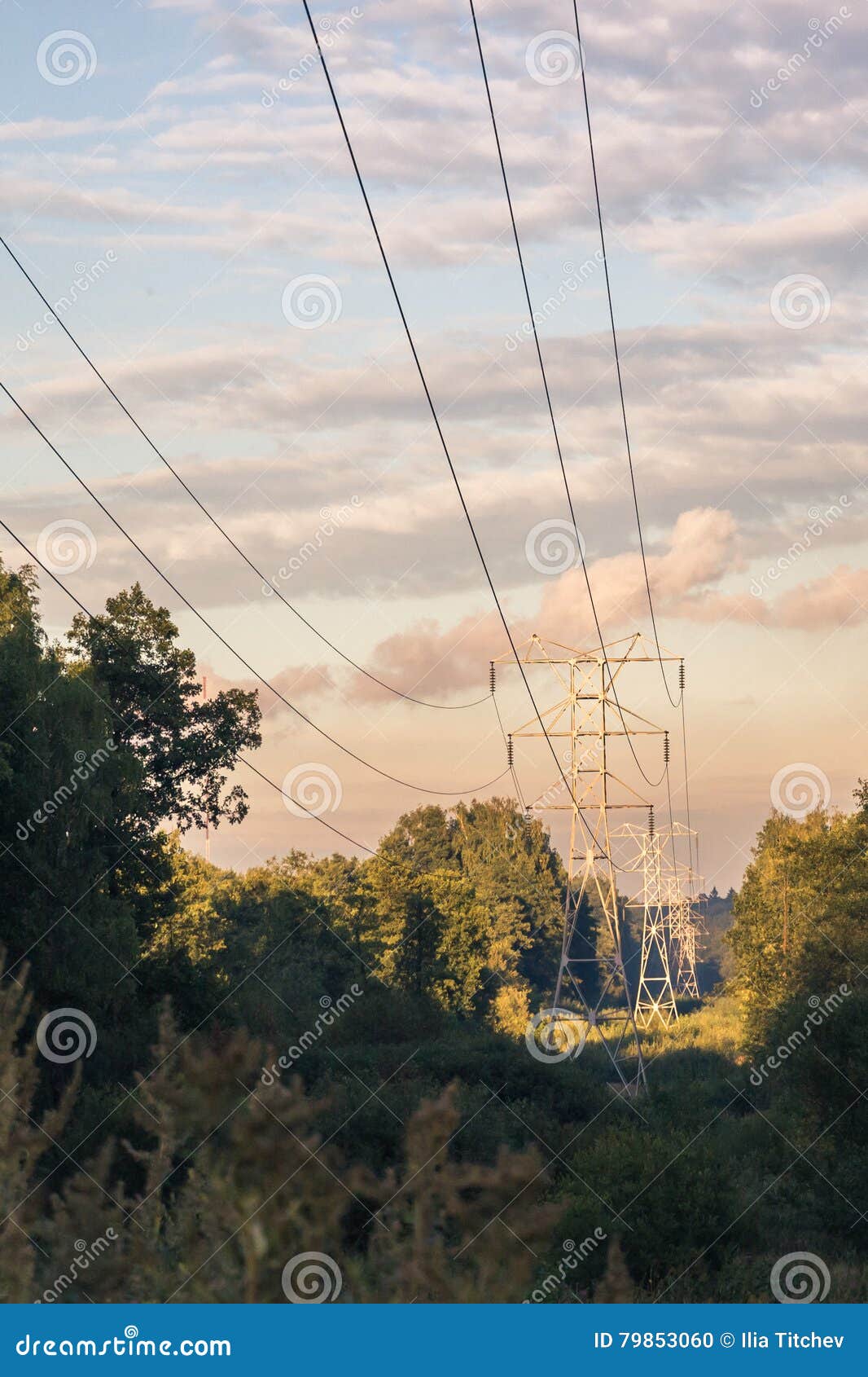 Power Transmission Tower on Background Greenery on a Summer Evening ...