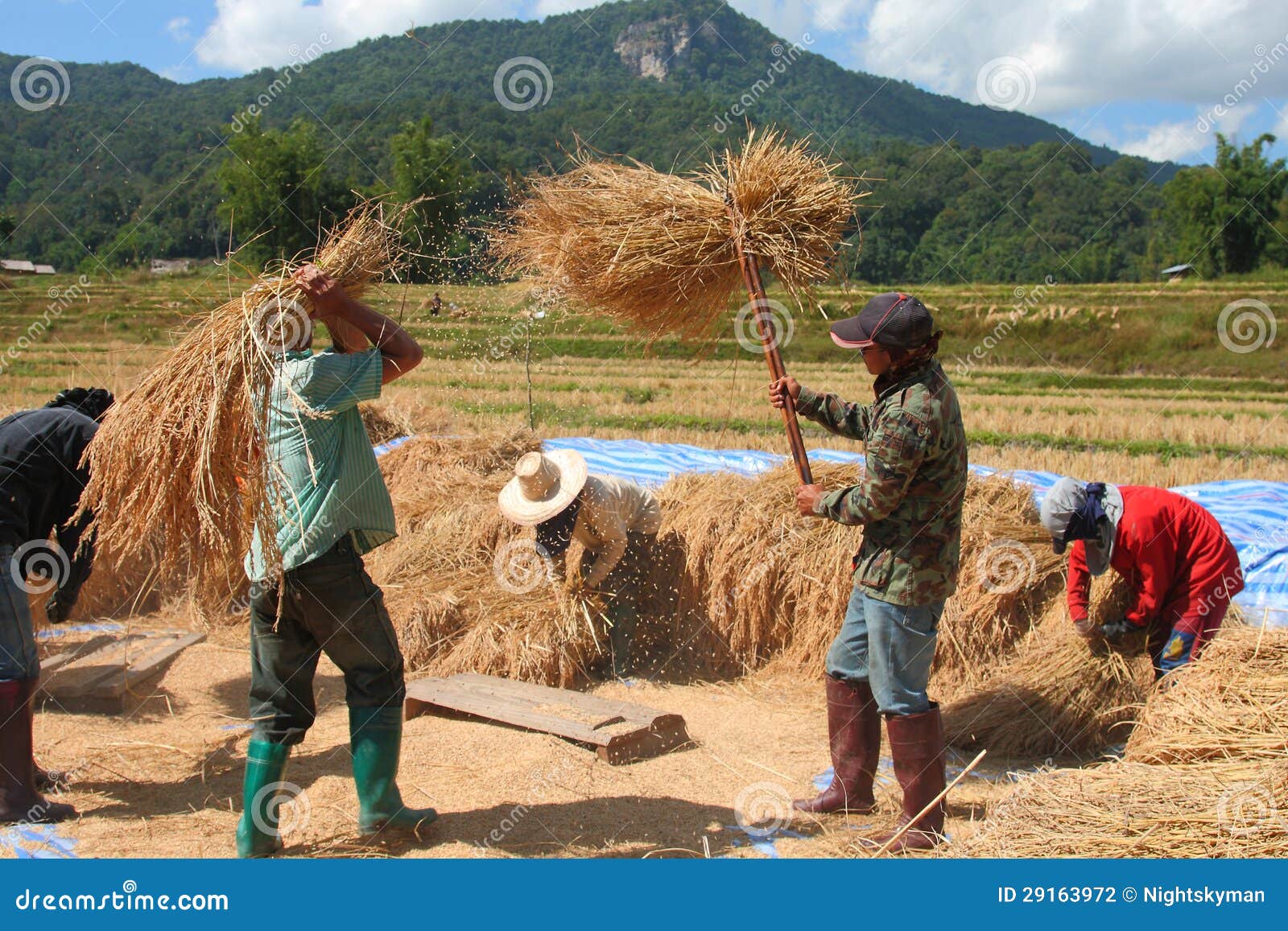 The power of the unity stock photo. Image of activity - 29163972