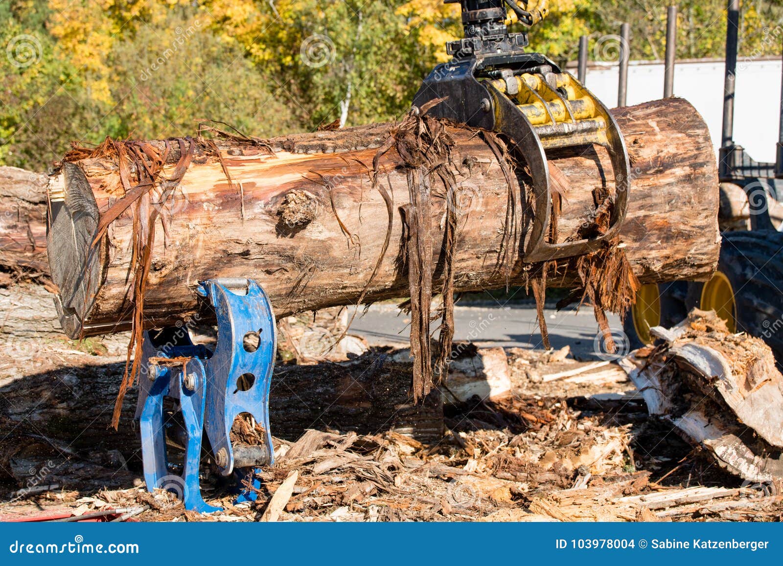 Powerful, Blue Wood Splitting Tool Stock Photo - Image of blade, bark ...