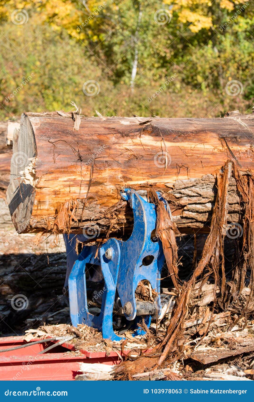 Powerful, Blue Wood Splitting Tool Stock Image - Image of trunk, split ...