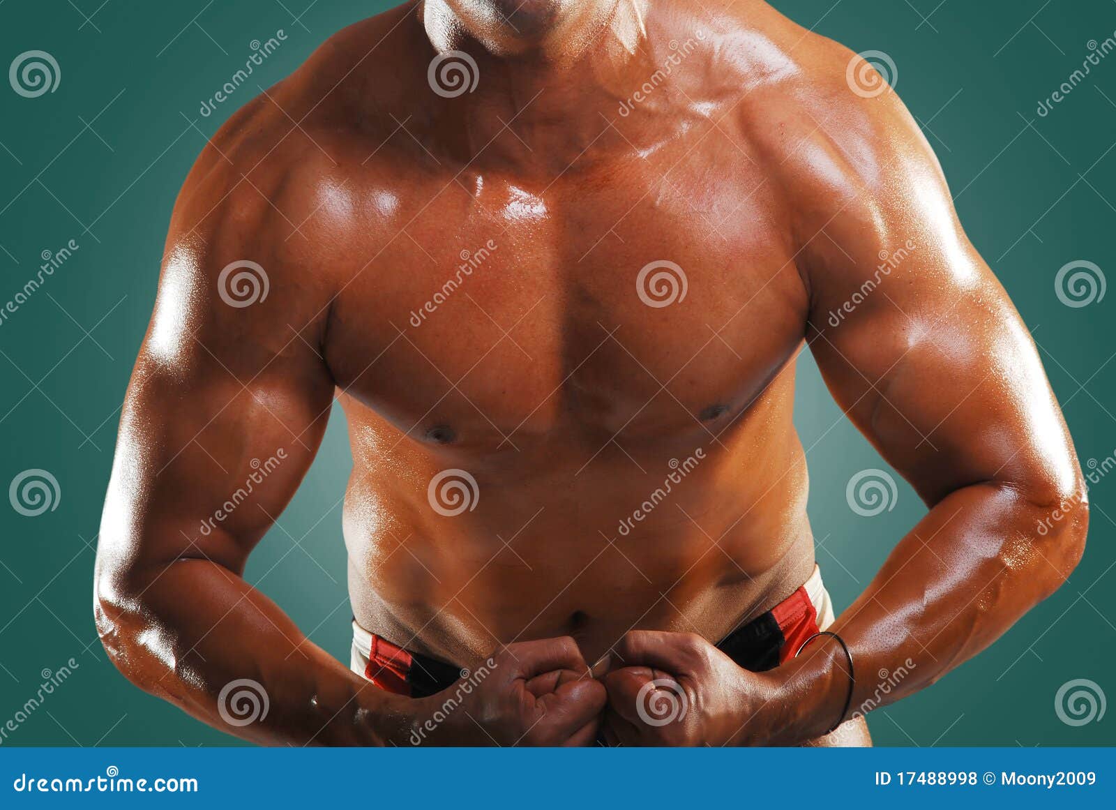 Powerful body stock photo. Image of healthy, bodybuilder - 17488998