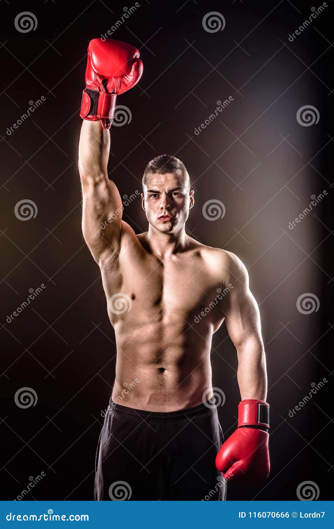 Powerful Boxer Raising Glove after Victory Stock Photo - Image of glove ... Powerful Boxer Raising Glove after Victory Stock Photo - Image of glove ...