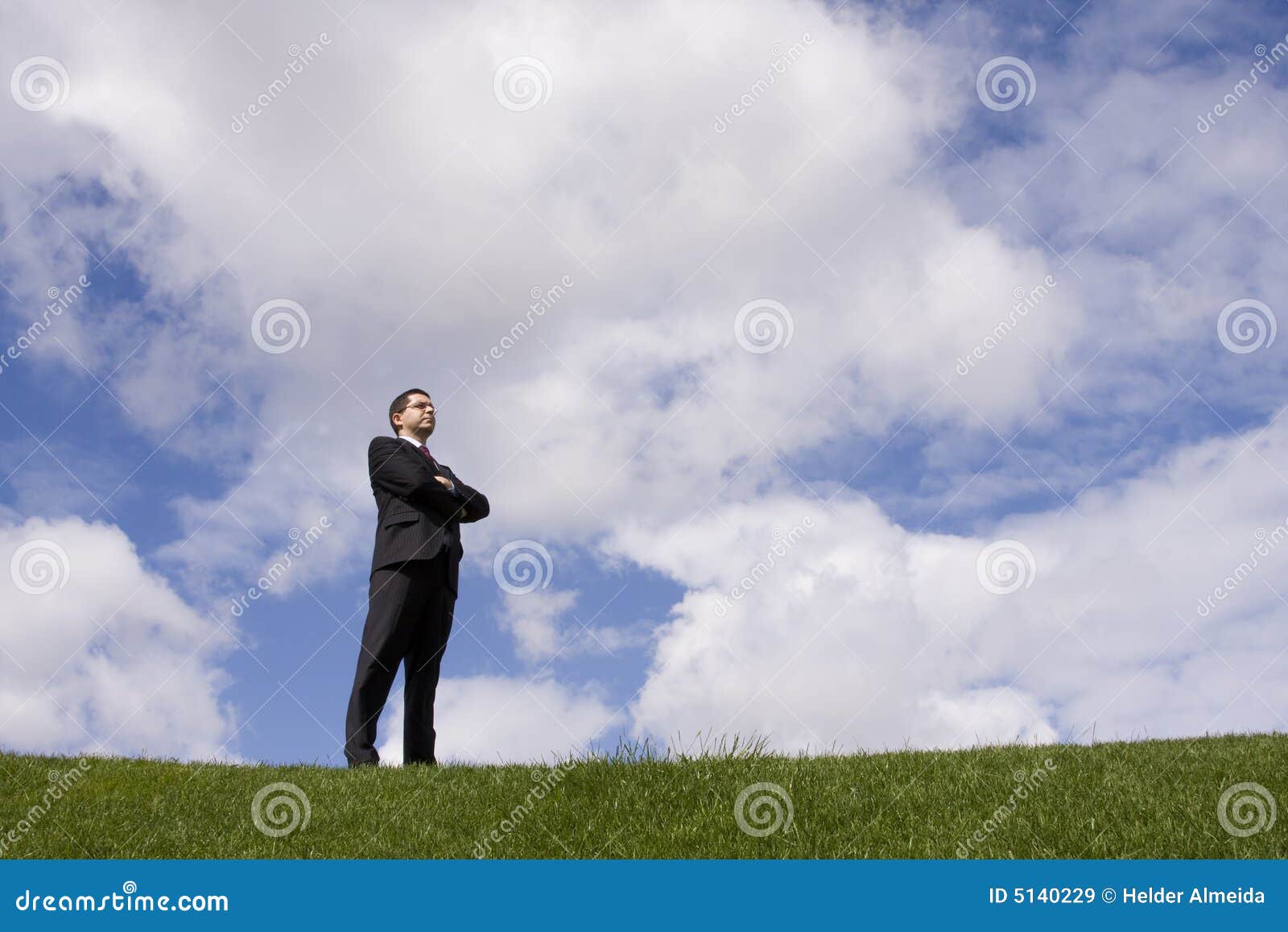 Powerful businessman stock image. Image of blue, leadership - 5140229
