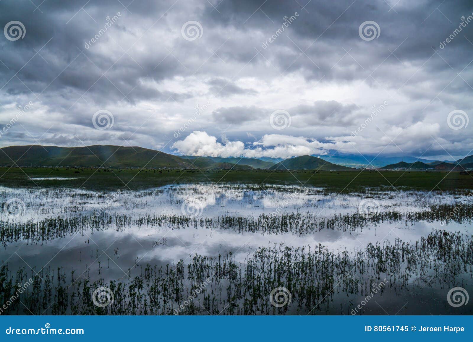 Powerful Clouds Above Napahai Lake Stock Image - Image of green ...