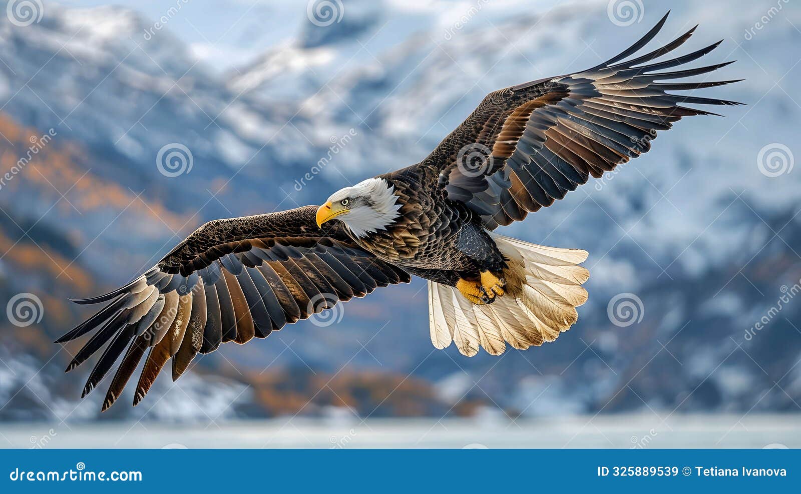 Powerful Eagle Flying through the Sky. Stock Illustration ...