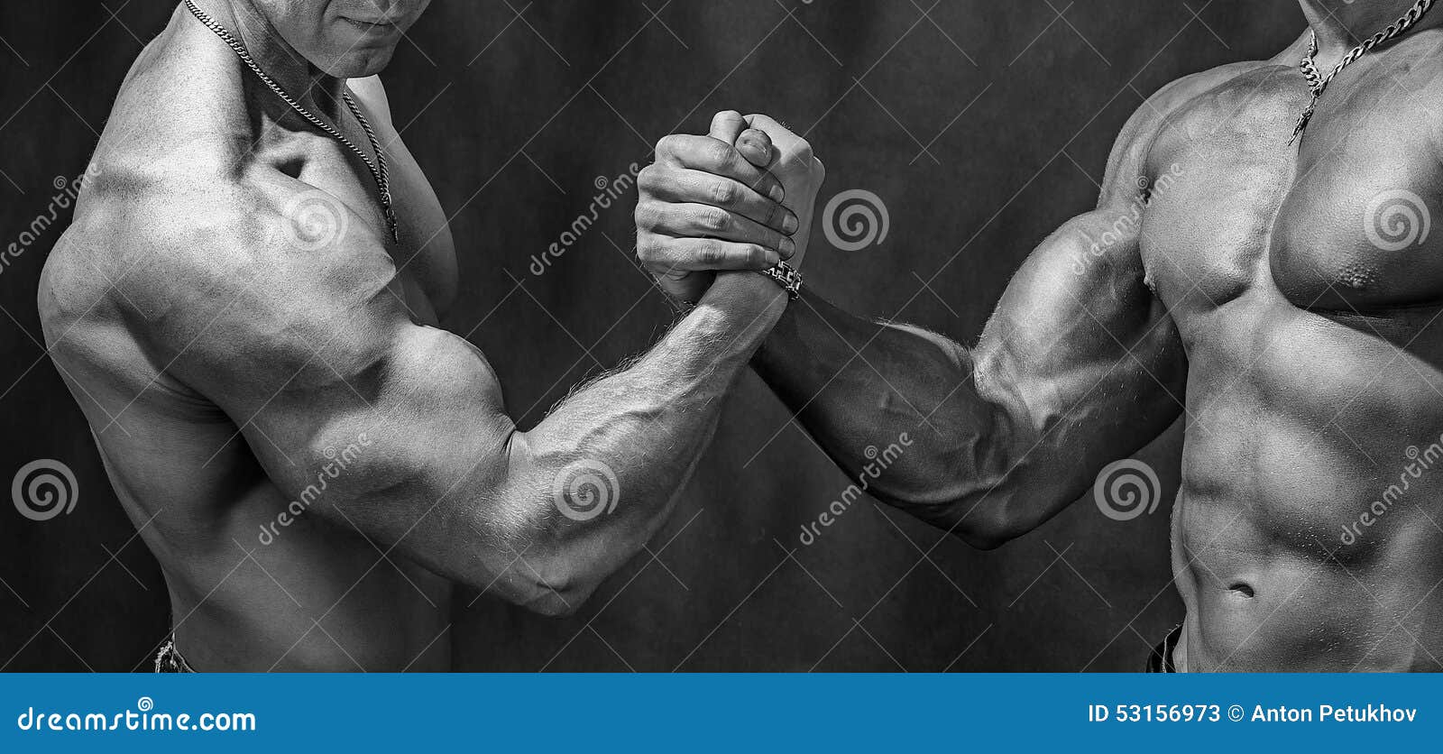 Powerful handshake stock image. Image of contract, muscle - 53156973