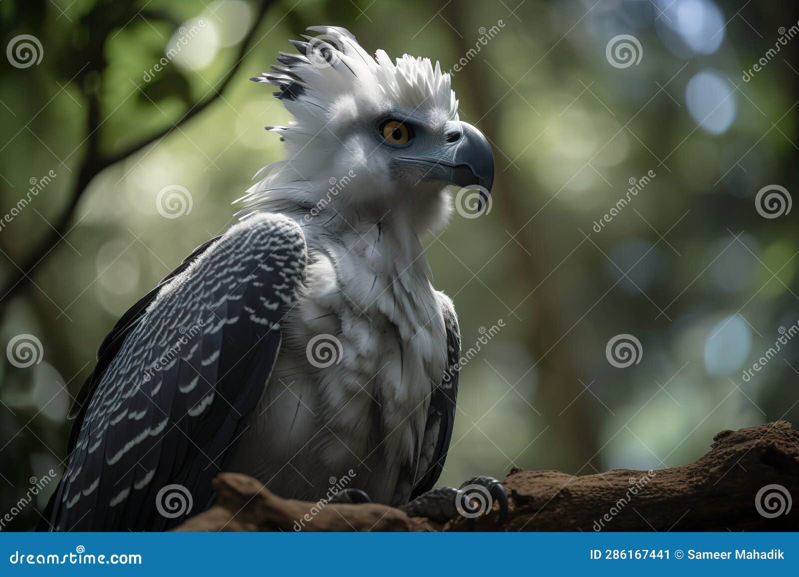 Powerful Harpy Eagle In The Tropical Rainforest Canopy. Generative AI ...