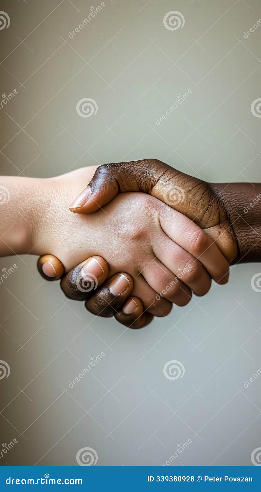 Unity in Diversity, a Symbolic Handshake Stock Illustration ...