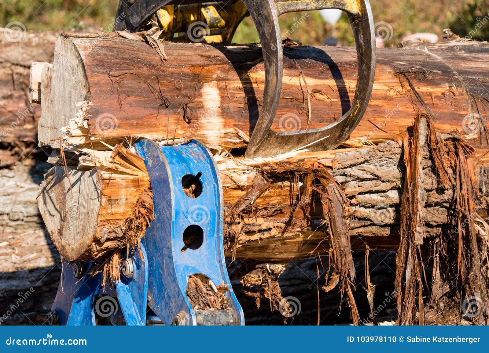Powerful, Blue Wood Splitting Tool Stock Photo - Image of strength ...