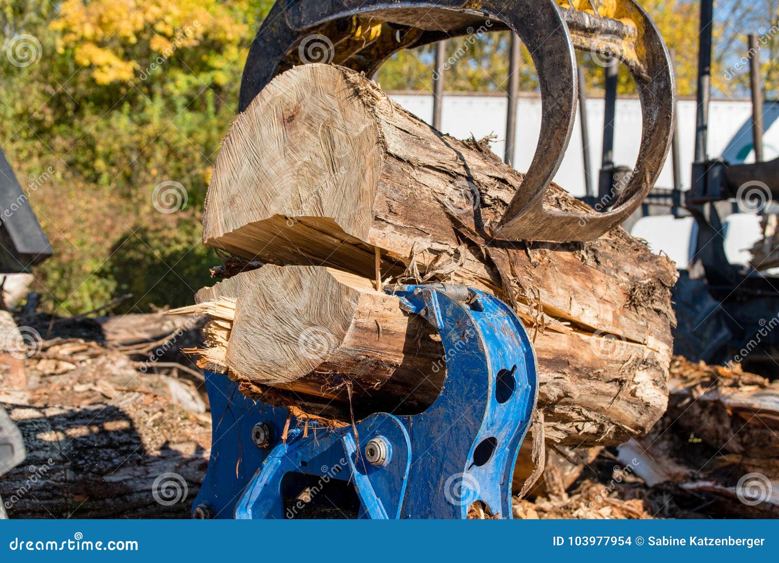 Powerful, Blue Wood Splitting Tool Stock Photo - Image of blue, forest ...
