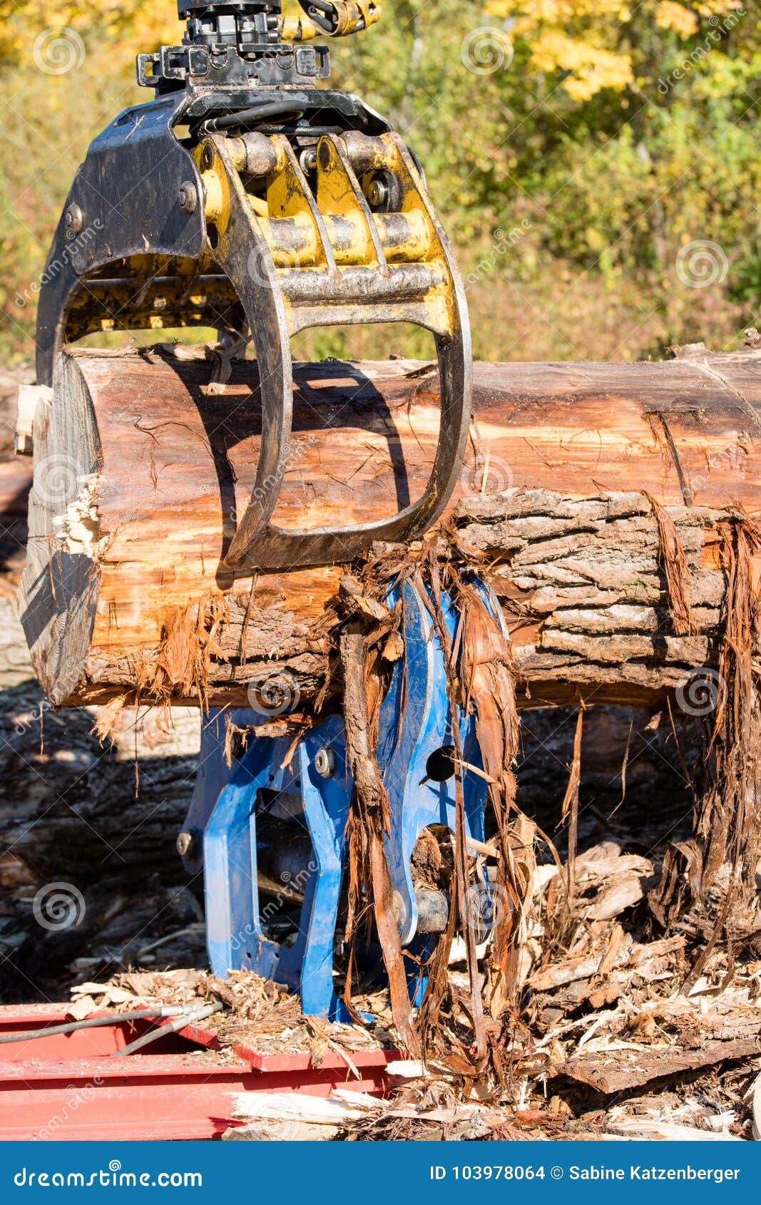 Powerful, Blue Wood Splitting Tool Stock Photo - Image of blue, nature ...