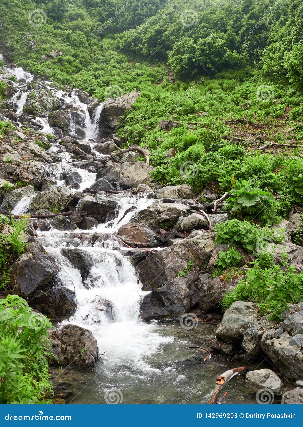 A Powerful Mountain Stream Flows Down from the Rocks and Stones Stock ...
