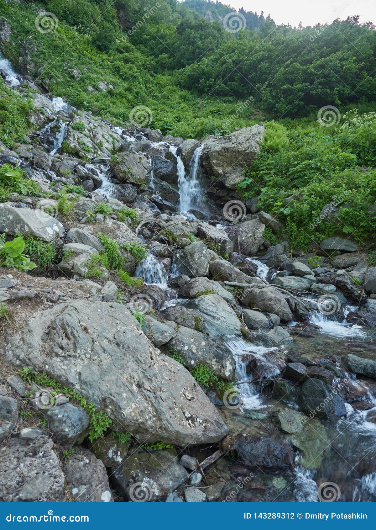 A Powerful Mountain Stream Flows Down from the Rocks and Stones Stock ...