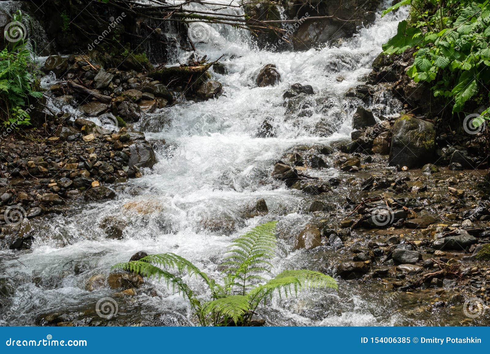 A Powerful Mountain Stream Flows Down from the Rocks and Stones Stock ...