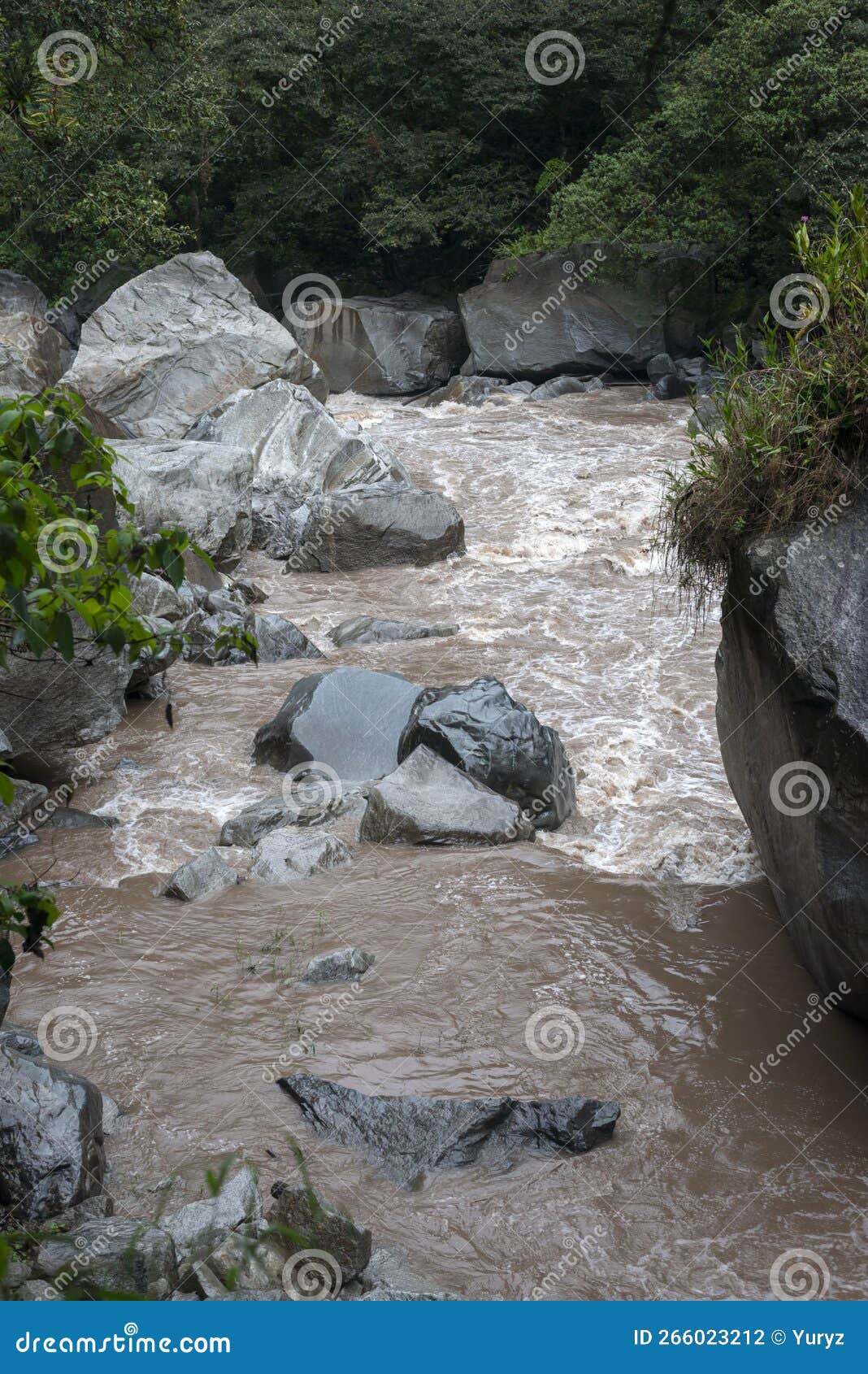 Powerful mountain stream stock photo. Image of water - 266023212