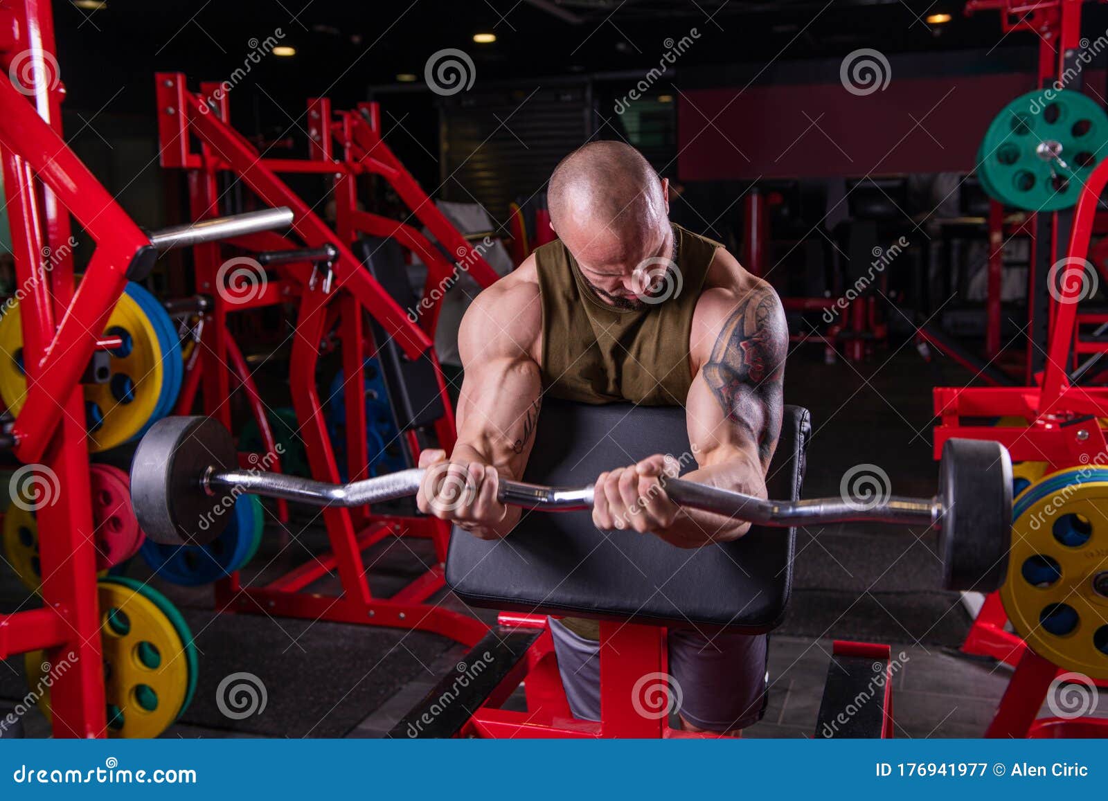 Powerful Muscular Man Doing Biceps Exercise with Barbell on the Bench ...