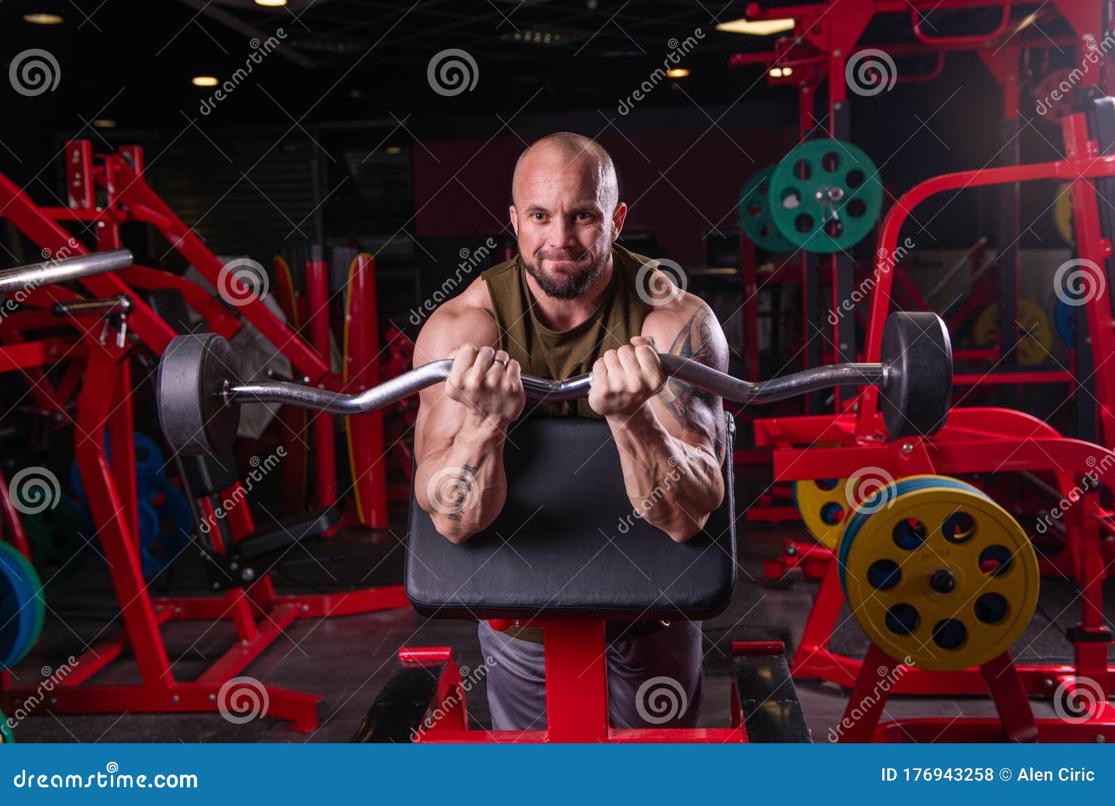 Powerful Muscular Man Doing Biceps Exercise with Barbell on the Bench ...
