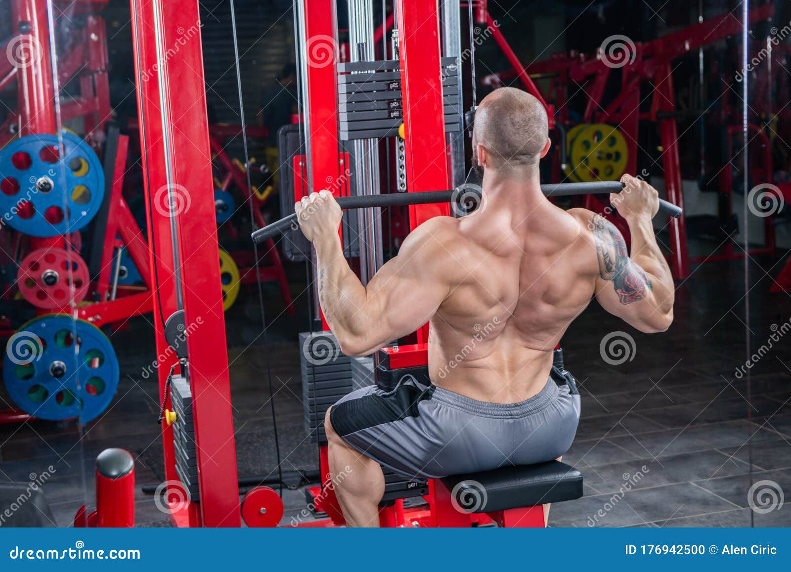 Powerful Muscular Man Doing Exercise for Back on the Lat Machine Stock ...