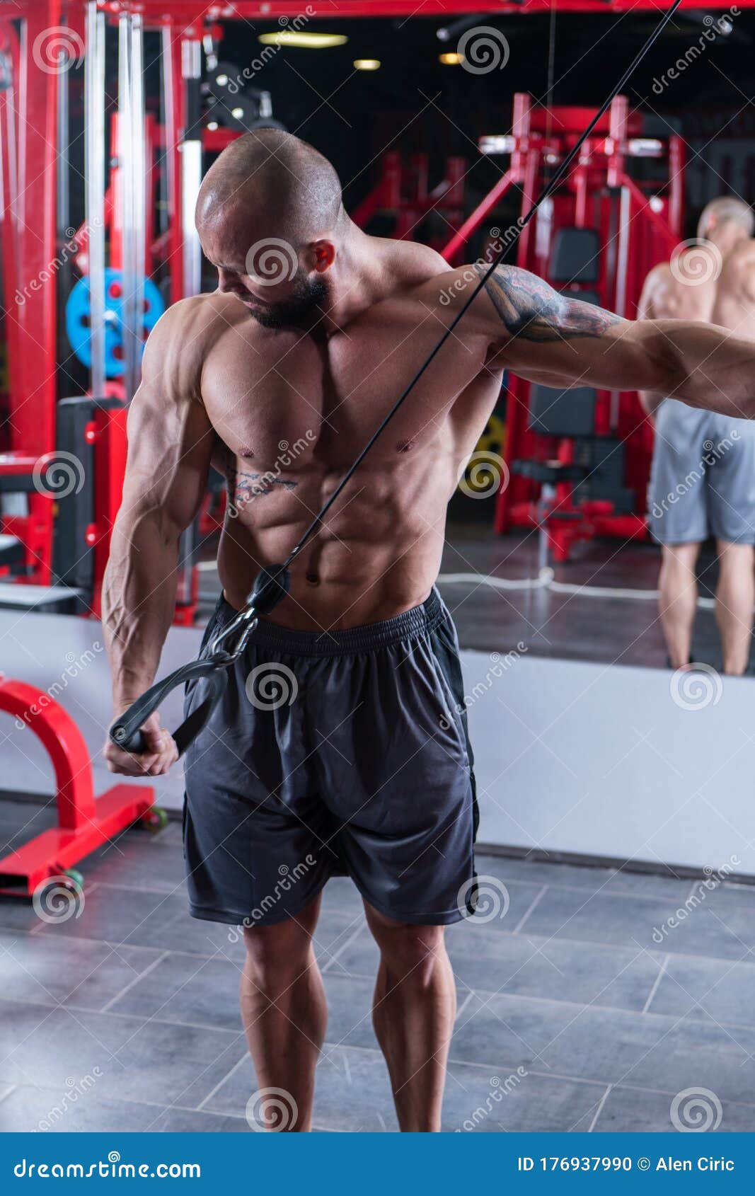 Powerful Muscular Man Doing Triceps Exercise on the Machine at the Gym ...
