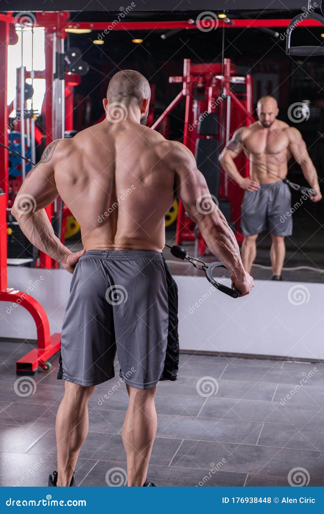 Powerful Muscular Man Doing Triceps Exercise on the Machine at the Gym ...