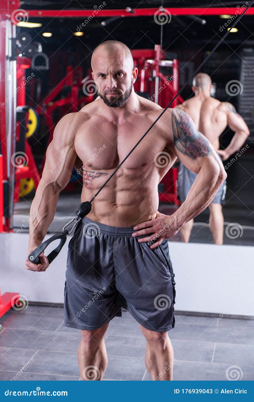 Powerful Muscular Man Doing Triceps Exercise on the Machine at the Gym ...