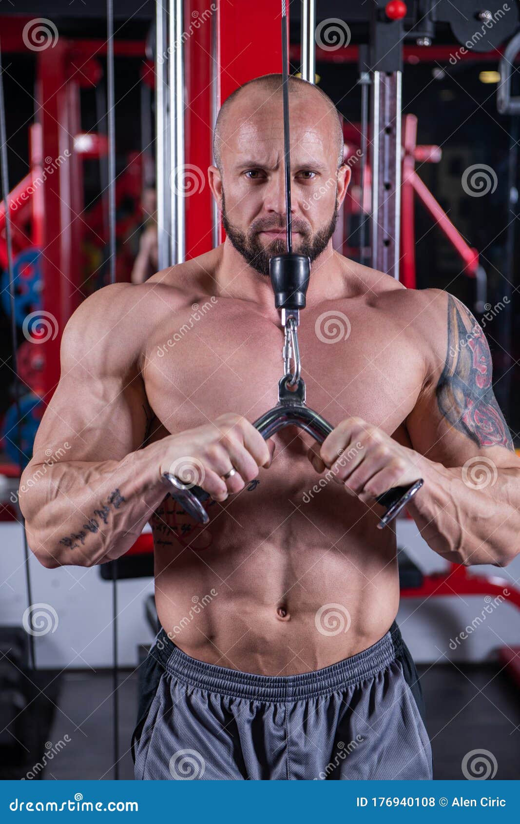 Powerful Muscular Man Doing Triceps Exercise on the Machine at the Gym ...