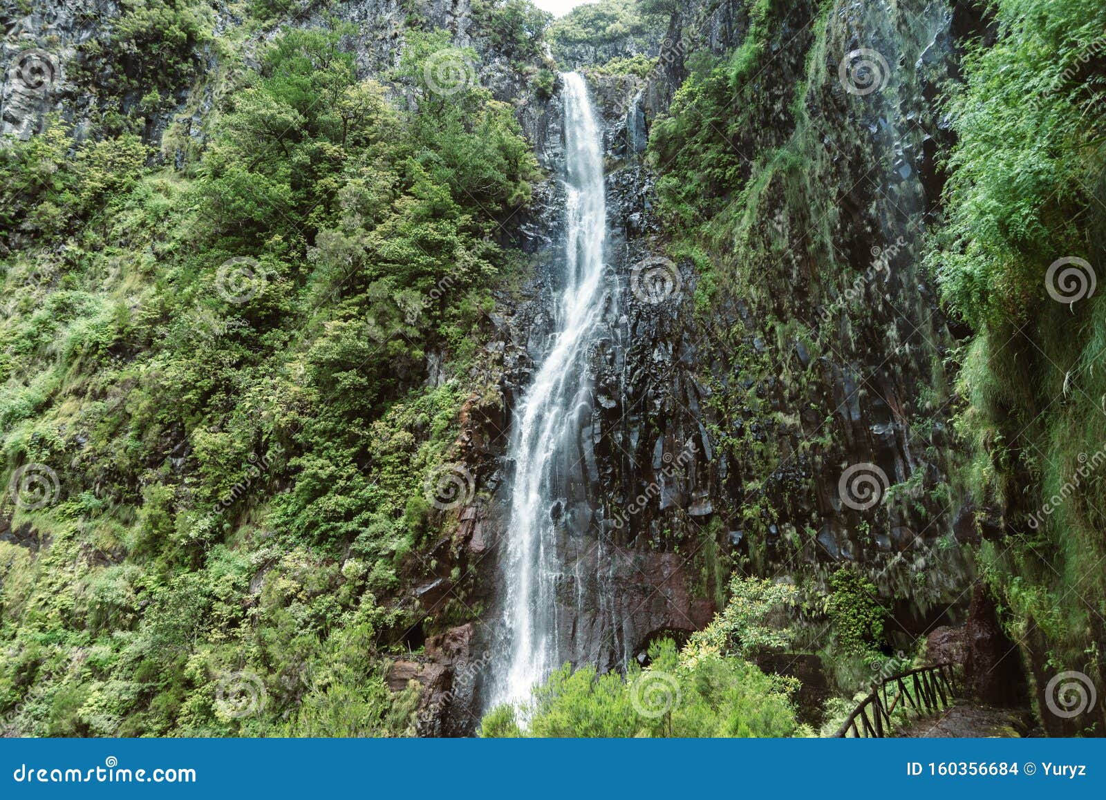 Risco waterfall, Madeira stock photo. Image of forest - 160356684