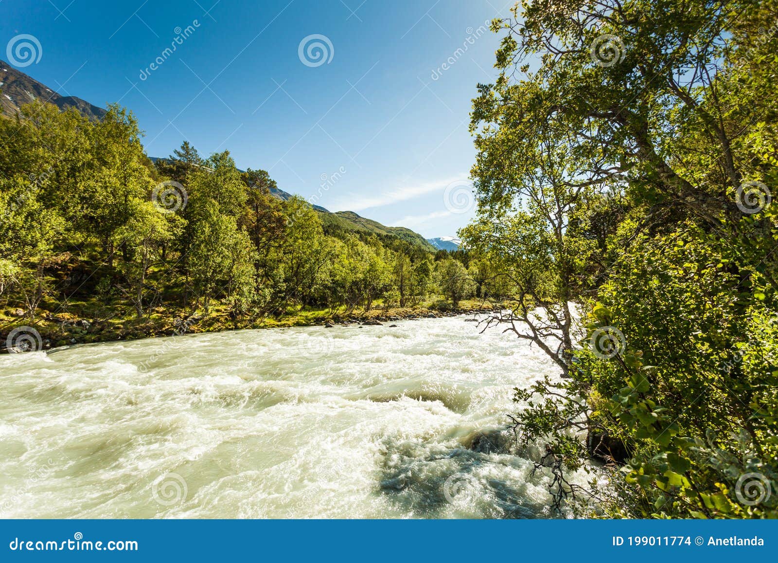 Powerful river in Norway stock photo. Image of river - 199011774