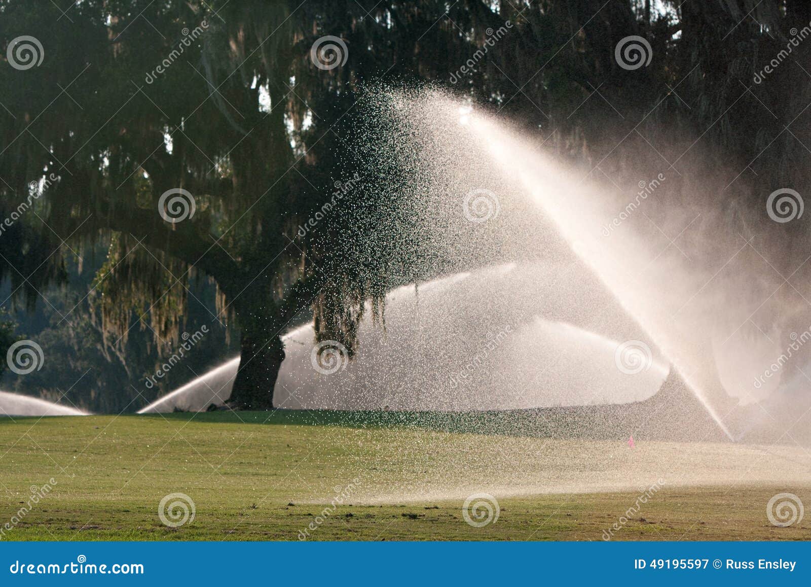 Powerful Spinklers Soak a Golf Course Fairway Stock Image - Image of ...