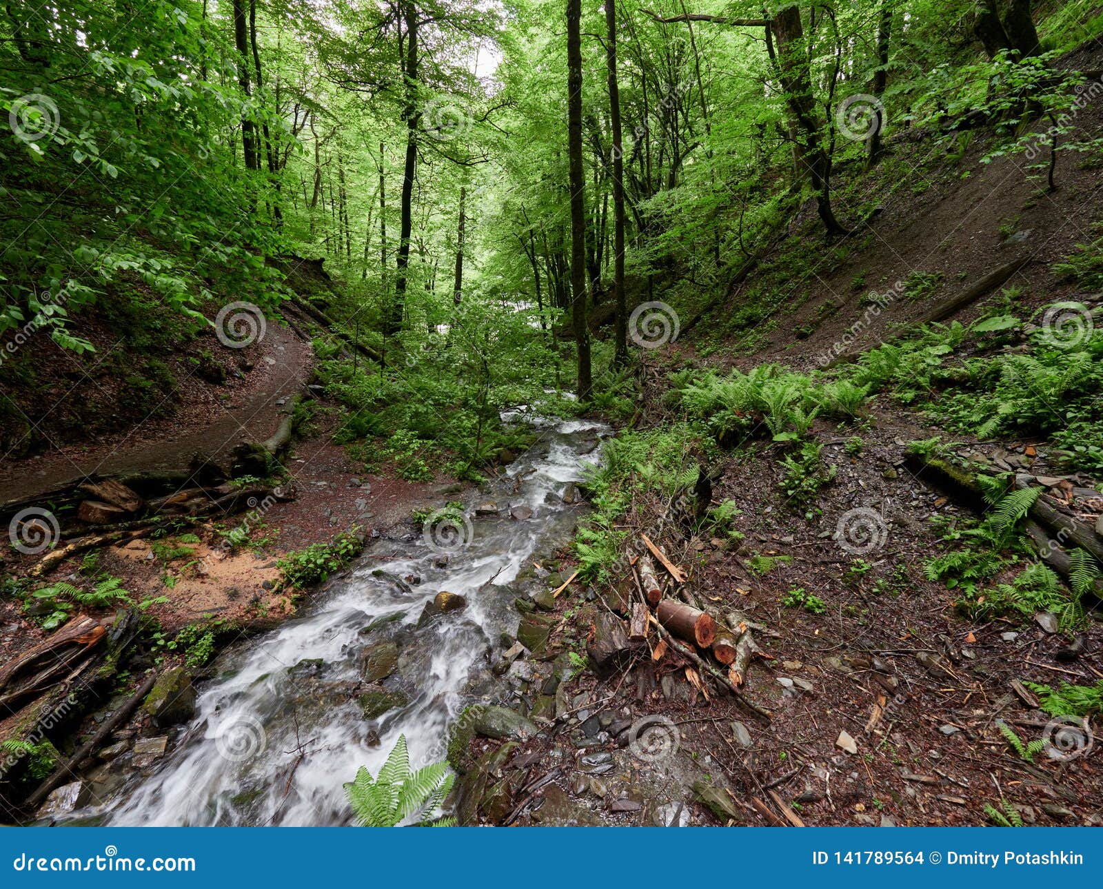 Powerful Stream in Spring Forest. Mountains in the Spring Stock Photo ...