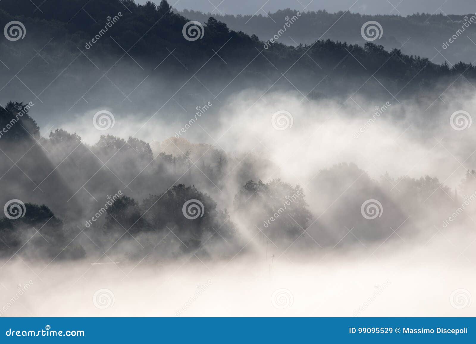 Powerful Sun Rays Cutting through the Fog and Projecting Shadows Stock ...
