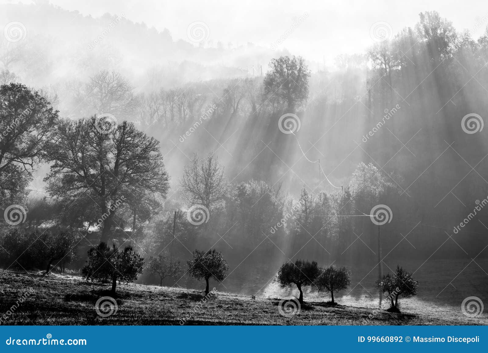 Powerful Sun Rays Cutting through the Fog and Projecting Shadows Stock ...
