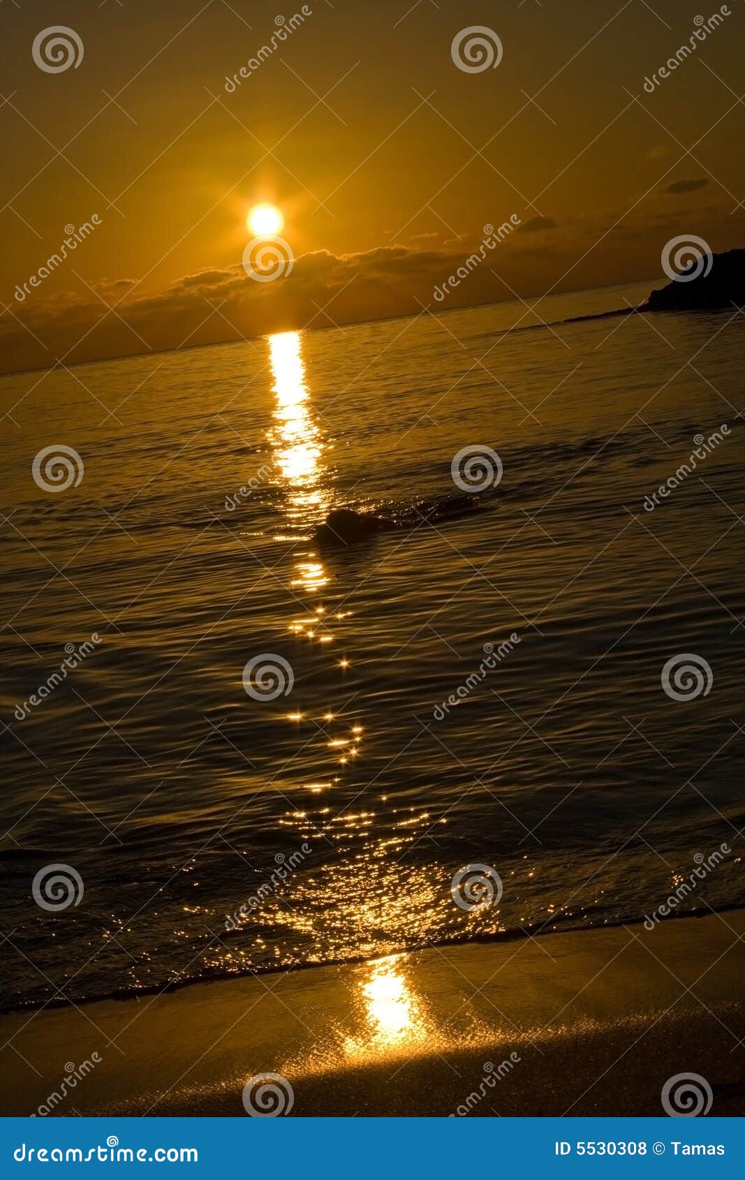 Powerful sunset vertical stock photo. Image of coast, travel - 5530308
