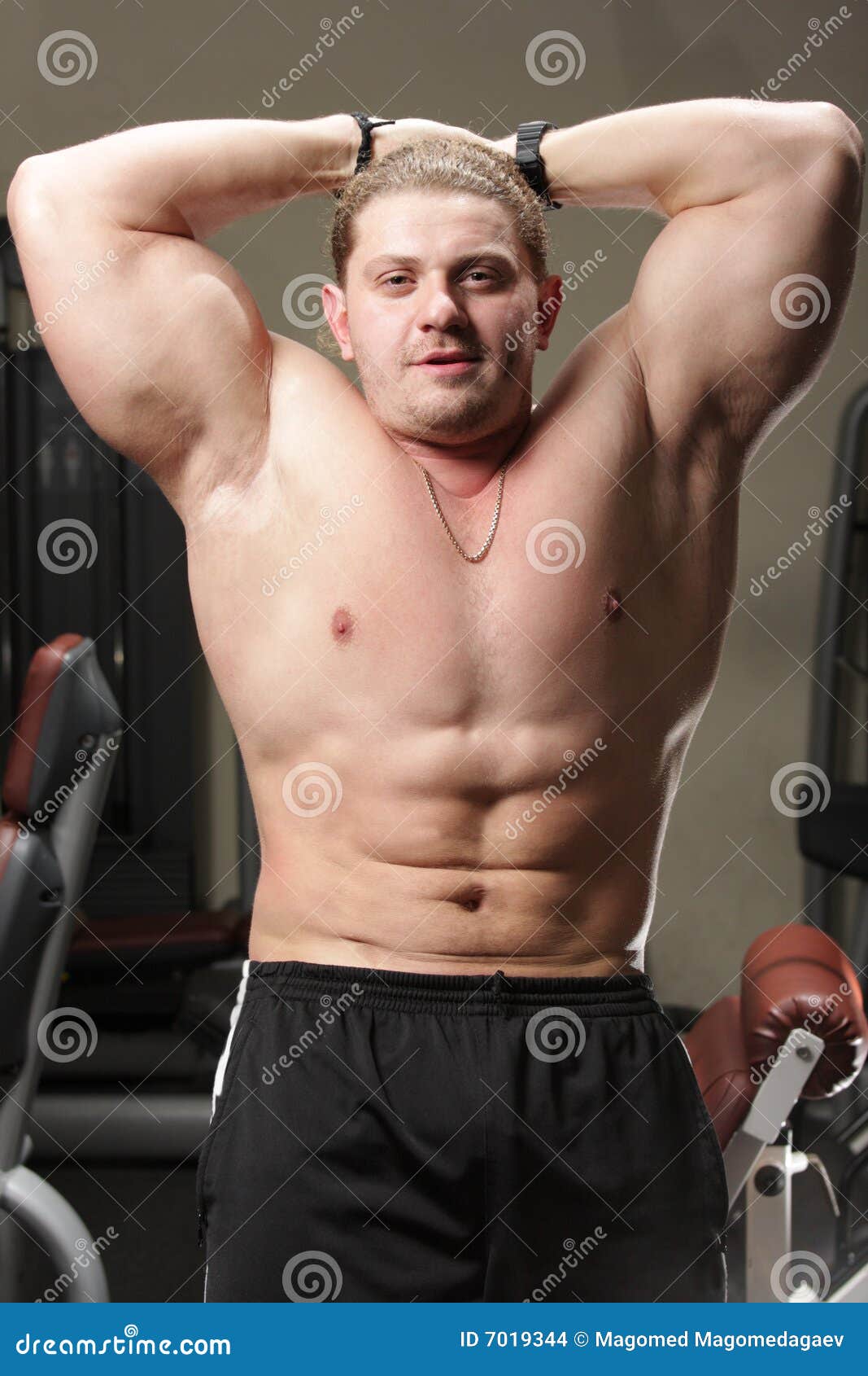 Powerful torso stock photo. Image of posing, muscle, people - 7019344
