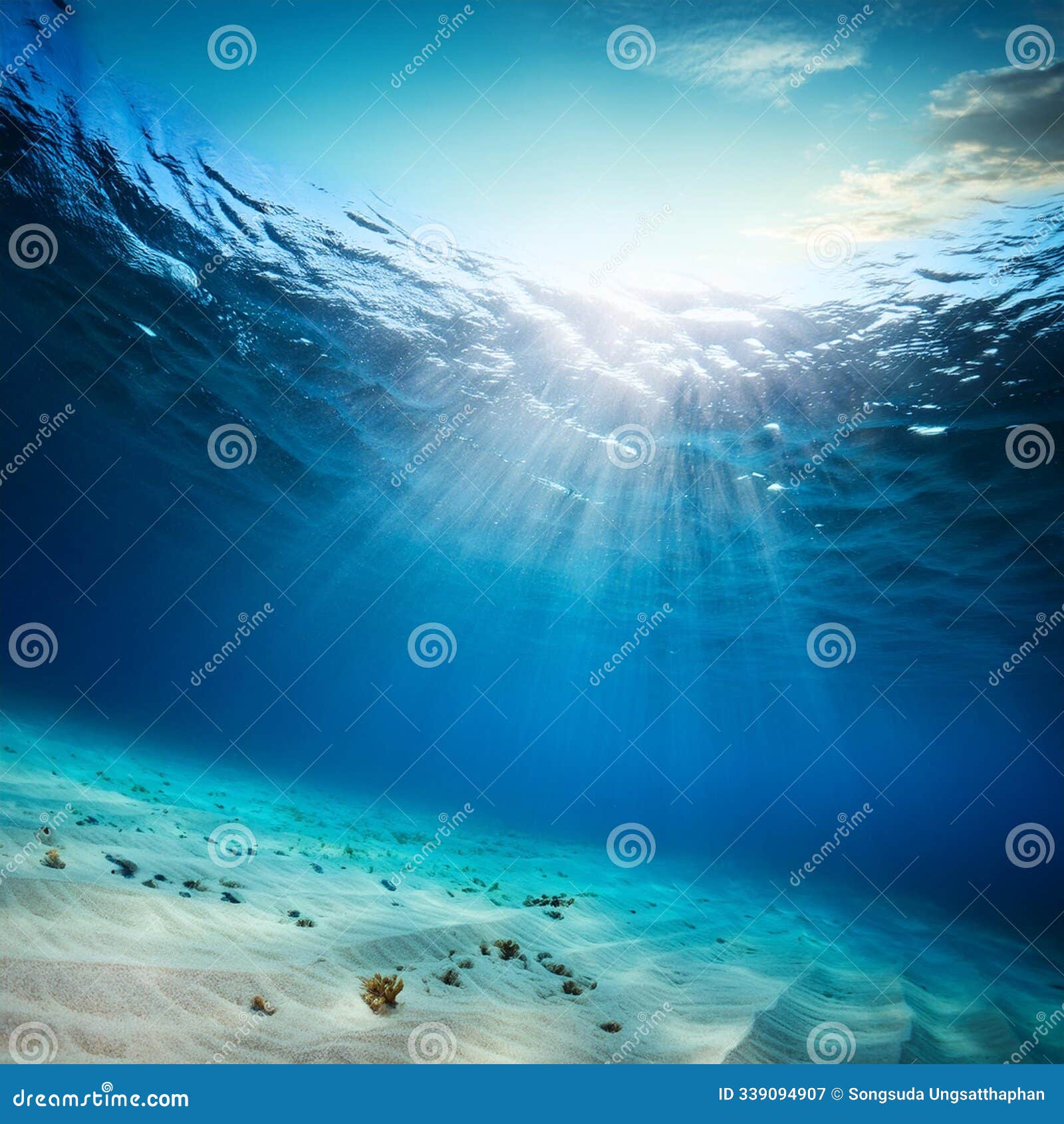 A Powerful Underwater Current Pulling Sand and Marine Life Along the ...