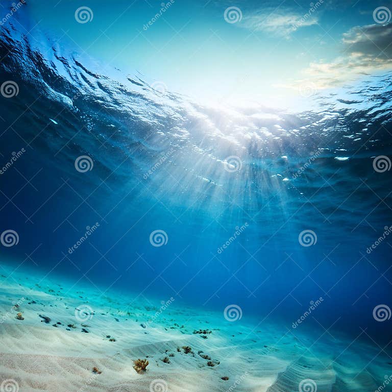 A Powerful Underwater Current Pulling Sand and Marine Life Along the ...