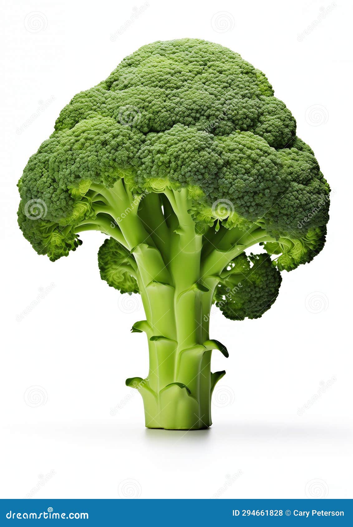 A Broccoli Tree Is Shown On A Blue Background, AI Stock Photo ...