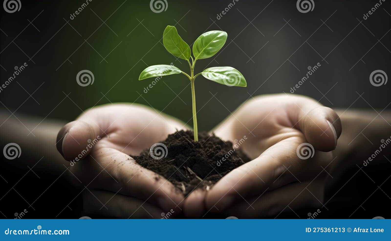 A Plant Growing from a Human Hand. AI Generated. Stock Illustration ...