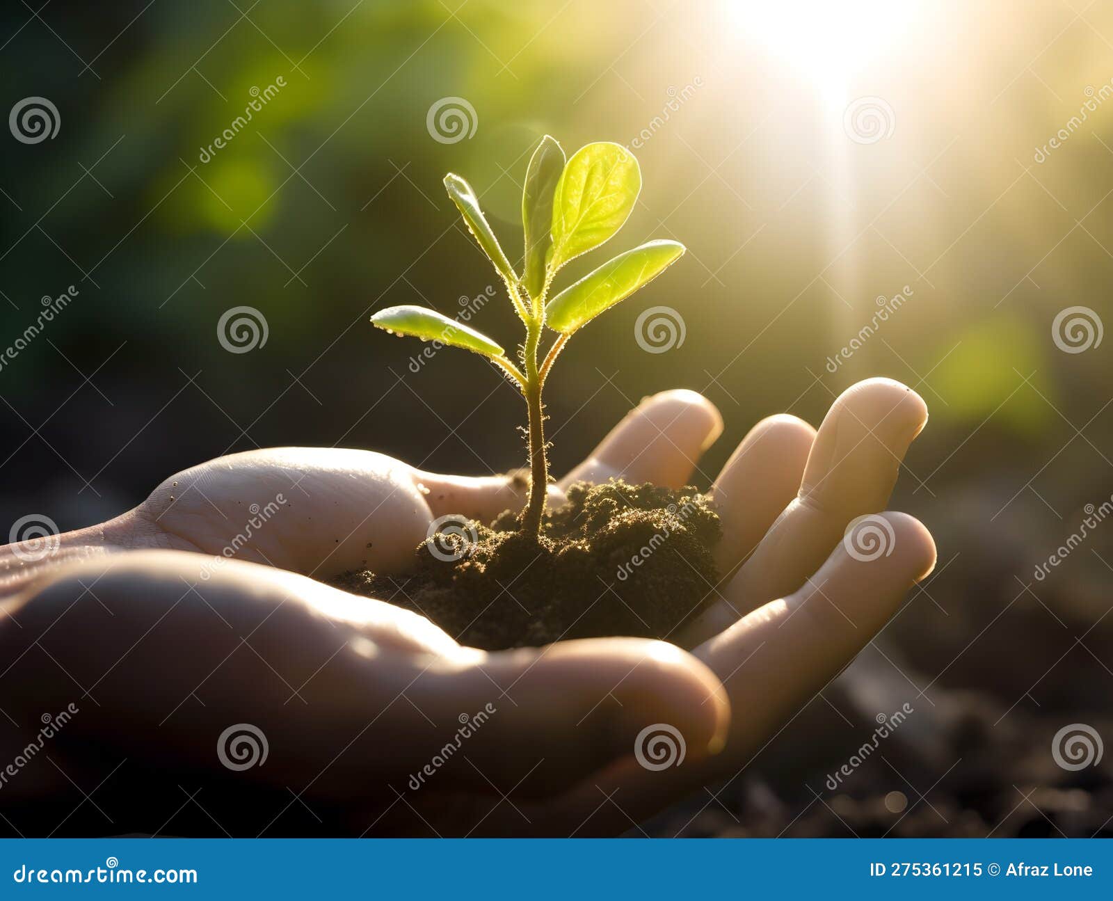 A Plant Growing from a Human Hand. AI Generated. Stock Illustration ...